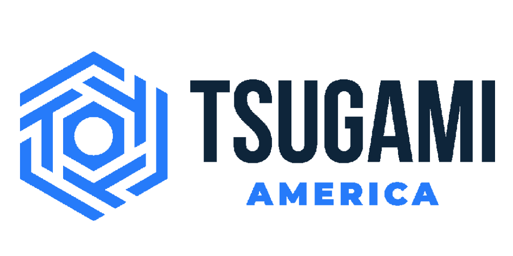 Technology Partners - Morris Group, Inc.